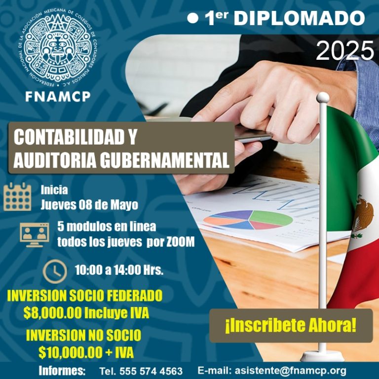 DIPLOMADO DE AUDITORIA GUBERNAMENTAL 2025 | Federación Nacional de la ...